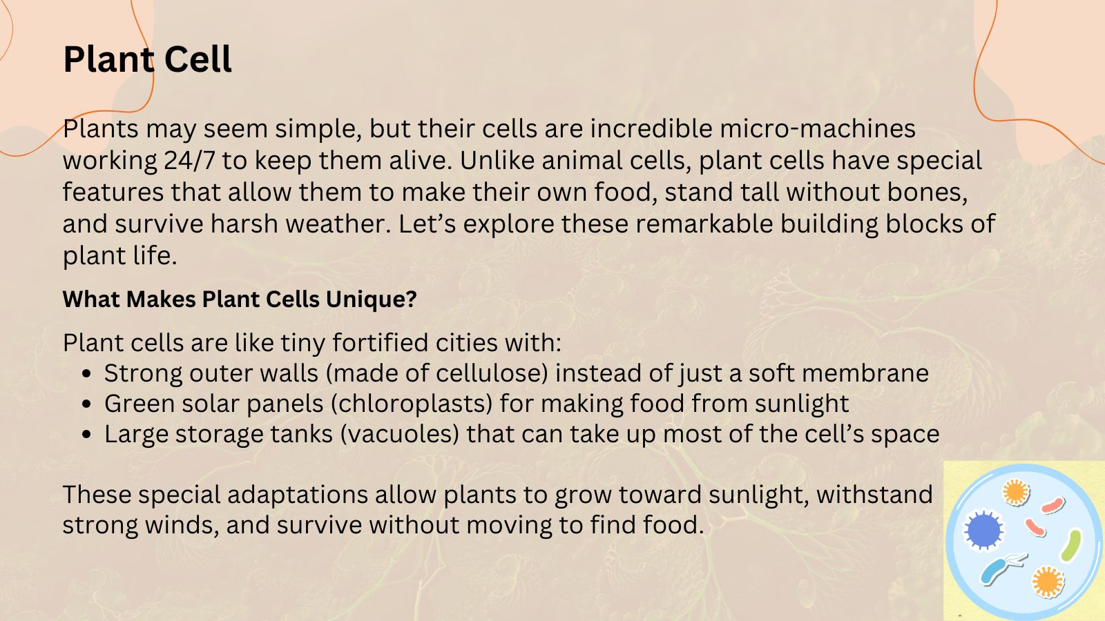 The Amazing World of Plant Cells: A Closer Look at Nature's Tiny Factories